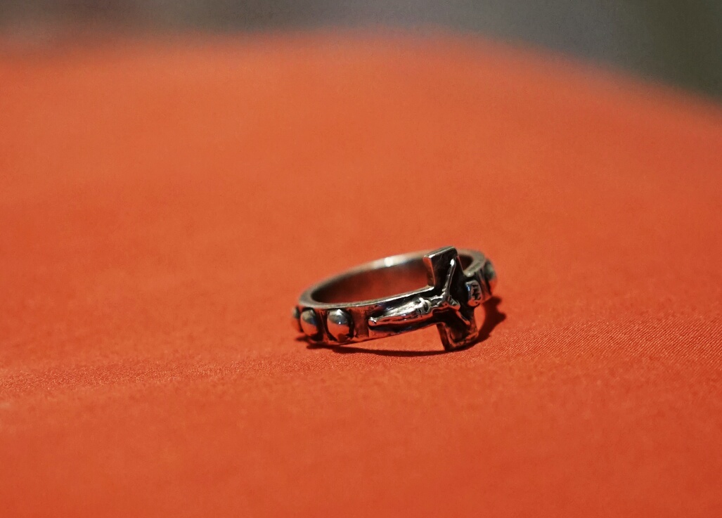 Profession of Love – Journey of the Heart